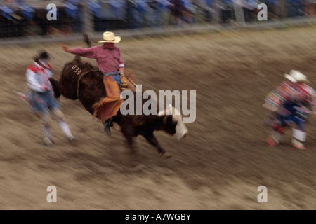 Rodeo clowns, bull riding competition, Chaffee County Fair & Rodeo ...