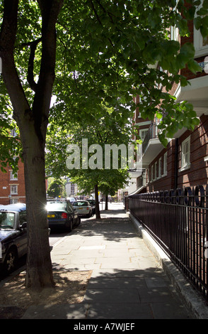 Tree lined street in London with railings on a sunny April day Stock ...