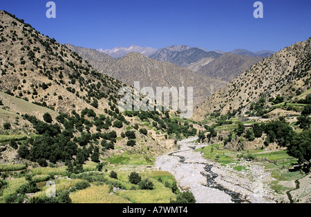Pakistan, northern region, Chitral area, Trichmir mountain, 7690 M ...
