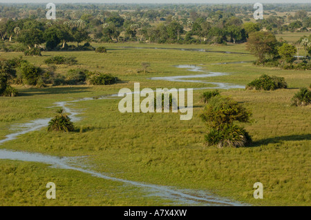 Seasonal flood moving through the floodplain. Okavango Delta, BOTSWANA ...