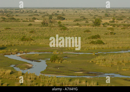 Seasonal flood moving through the floodplain. Okavango Delta, BOTSWANA ...