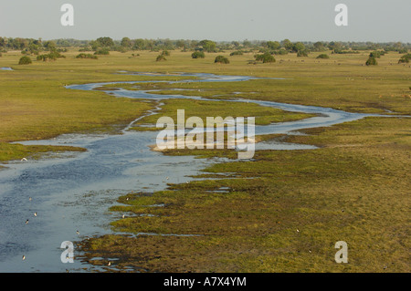Seasonal flood moving through the floodplain. Okavango Delta, BOTSWANA ...