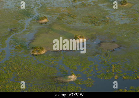 Papyrus swamps & channels with termite islands starting the process of ...
