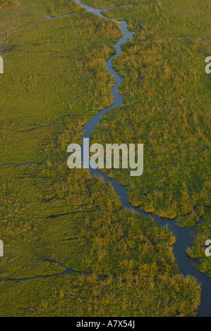 Seasonal flood moving through the floodplain. Okavango Delta, BOTSWANA ...