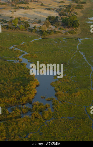 Seasonal flood moving through the floodplain. Okavango Delta, BOTSWANA ...