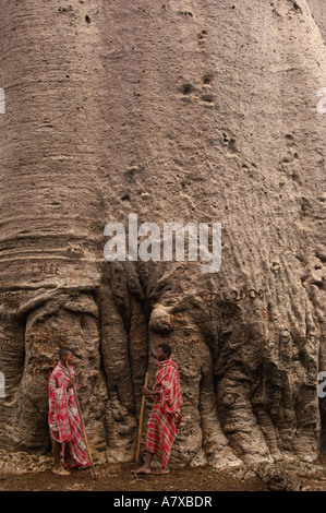 Africa, Madagascar, Mahafaly tomb Stock Photo - Alamy