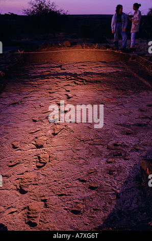 Laetoli footprints Tanzania Stock Photo - Alamy