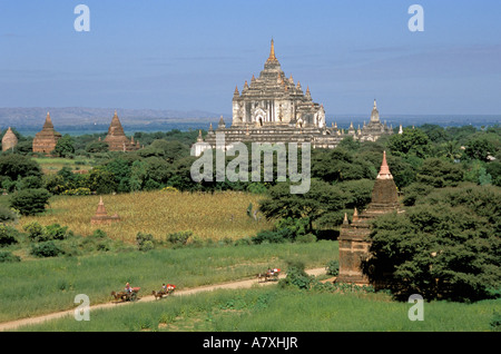 Asia, Myanmar, Bagan. Visitors exploring the temples of Bagan Stock ...