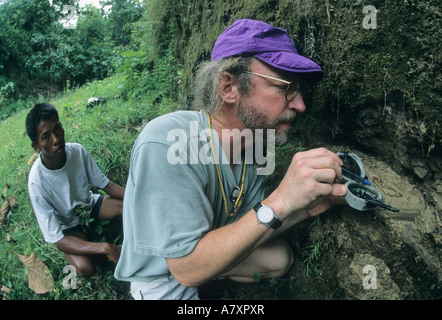 Homo erectus, Java Man (Sangiran 17) cranium cast views Stock Photo - Alamy