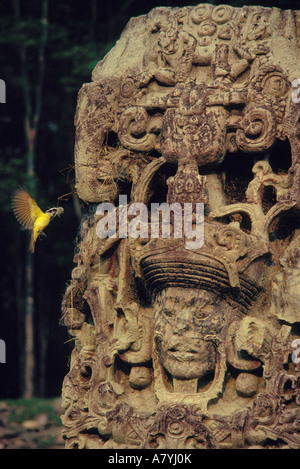 Copan, 18 Rabbit, Stele, Honduras, Maya Stock Photo - Alamy