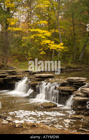 A naturalistic dam on Sawmill Creek, Waterfall Glen Forest Preserve ...