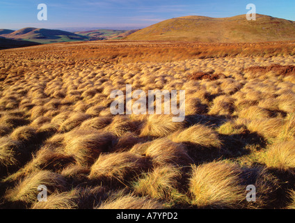 Yeavering Bell Hillfort near Kirknewton Northumberland Stock Photo - Alamy