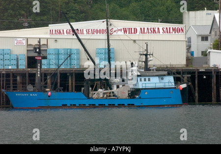 Wild Salmon processing, salmon factory, Alaska, USA, North America ...