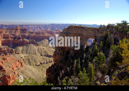Angels Window Walhalla overlook North Rim Grand Canyon National Park ...