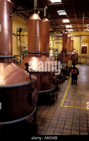 Mexico, Jalisco State, Jose Juervo tequila distillery Stock Photo - Alamy
