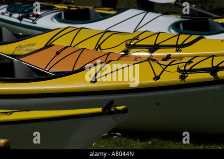 USA, Oregon, Portland, Assorted Sea Kayaks with Oars Stock Photo - Alamy