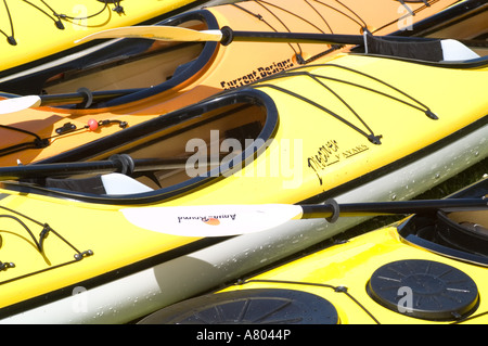 USA, Oregon, Portland, Assorted Sea Kayaks with Oars Stock Photo - Alamy