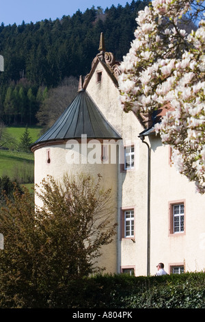 Castle Fuerstenberger Schloss Wolfach Black Forest Germany April 2007 ...