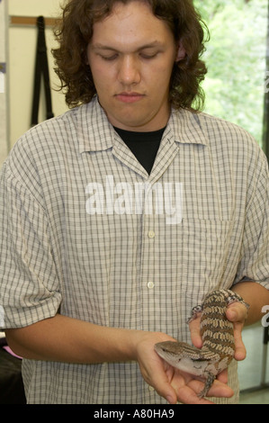 Reptile owner displaying his blue tongued skink Stock Photo - Alamy