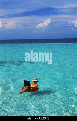 Woman work on laptop computer at home Stock Photo - Alamy