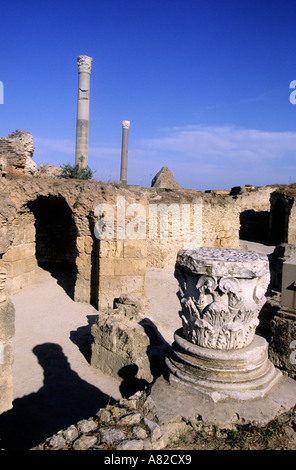 Tunisia, Carthage, Thermal baths of Antonin archeological site Stock ...