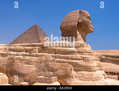 side view of the Sphinx at the Great Pyramids of Giza in Cairo Egypt ...