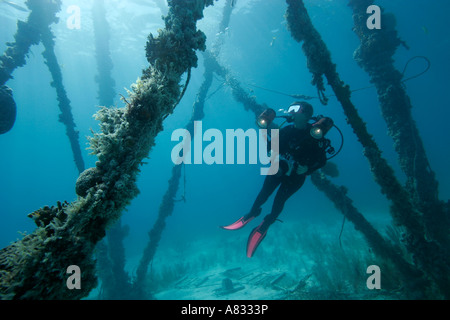Underwater photographer under Hen and Chickens lighthouse support beams ...