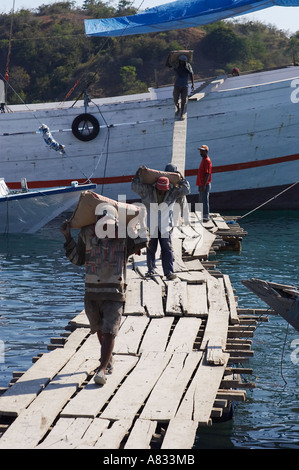 Construction worker carrying cement bag in a house under renovation ...