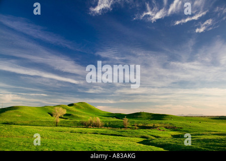 Grassland in the foothills of Sierra Nevada mountains in California ...