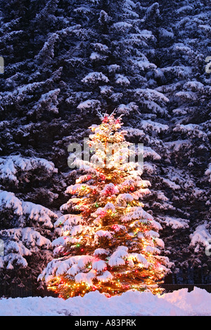 A Christmas tree outdoors in Seward Alaska Stock Photo - Alamy