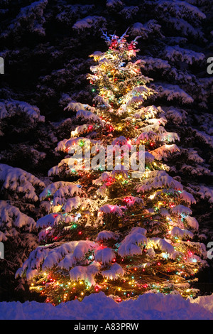 A Christmas tree outdoors in Seward Alaska Stock Photo - Alamy