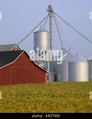 USA, Indiana, soybean field with red barn Stock Photo - Alamy
