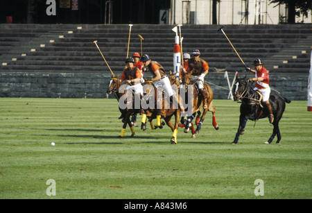 Berlin Germany Polo tournament on the Maifeld Stock Photo - Alamy