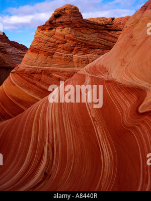 Aeolian Desert Sandstone. Sedimentary rock sample Stock Photo - Alamy