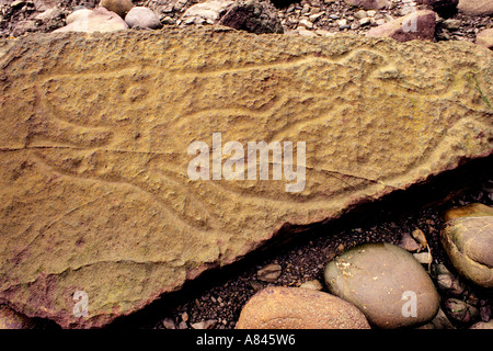 Petroglyph at Wedding Rock, Olympic National Park, Washington Stock ...
