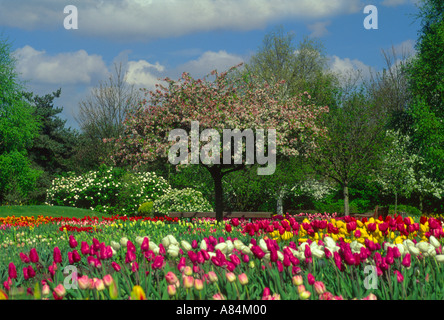 Spring flowers and blossom in Springfields Gardens Spalding ...