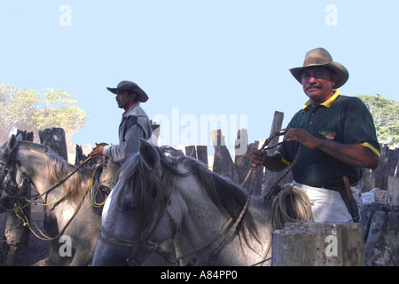 Cattle ranching is the main economic factor across Venezuela's plains ...