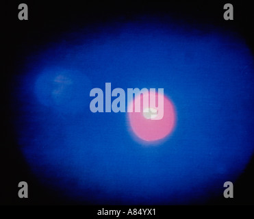 beam, research, experiment, science, laser, physics, lab, laboratory, light, university, optics ...