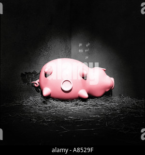 prison pig 1 Stock Photo - Alamy