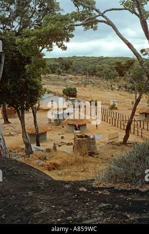 INVERTEBRATE FLY Tsetse Stock Photo - Alamy