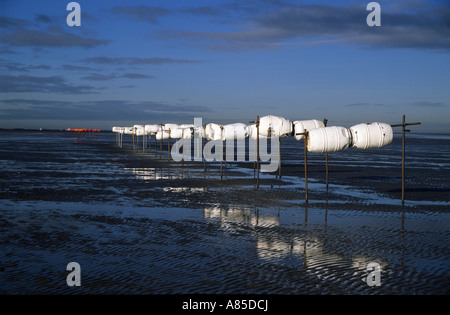 RAF Donna Nook Military air weapons range, Lincolnshire, UK Stock Photo ...
