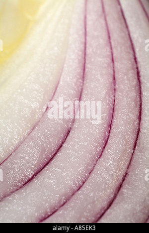 Sliced red onion, close up Stock Photo - Alamy