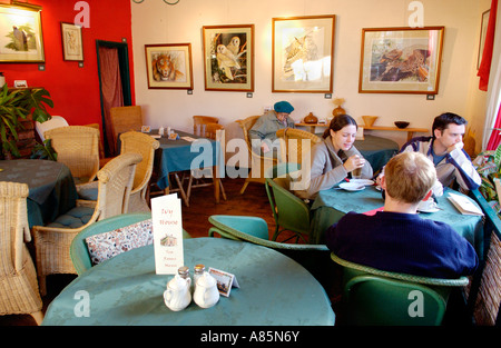 Interior of the award winning Ivy House Tea Rooms Montgomery Powys Mid ...