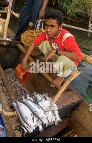 Butonese fishermen drying their catch under sun in temporary fishing ...