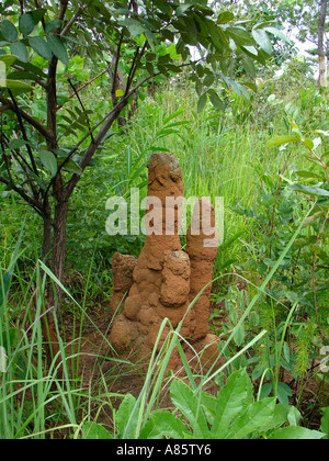 African termite mounds with lush green vegetation in rural area of the ...