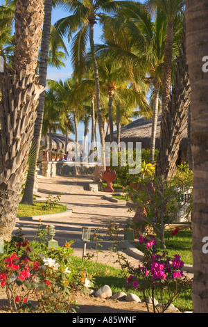 Punta Colorada Baja Mexico Stock Photo - Alamy