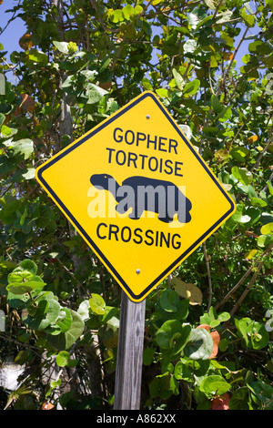 Street sign 'Gopher Tortoise crossing', Sanibel Island, Florida, USA ...