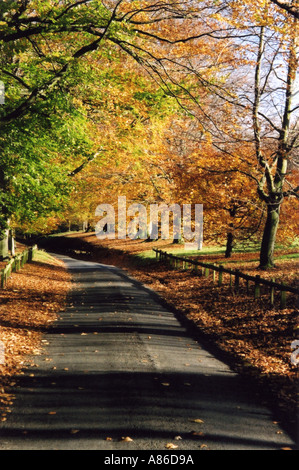 Mote Park, Maidstone Stock Photo - Alamy