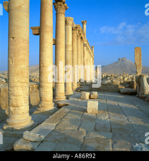 the Roman Ruins of Palmyra in Palmyra in the east of Syria Stock Photo ...