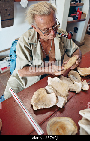 Old male archaeologist working in the lab Stock Photo - Alamy